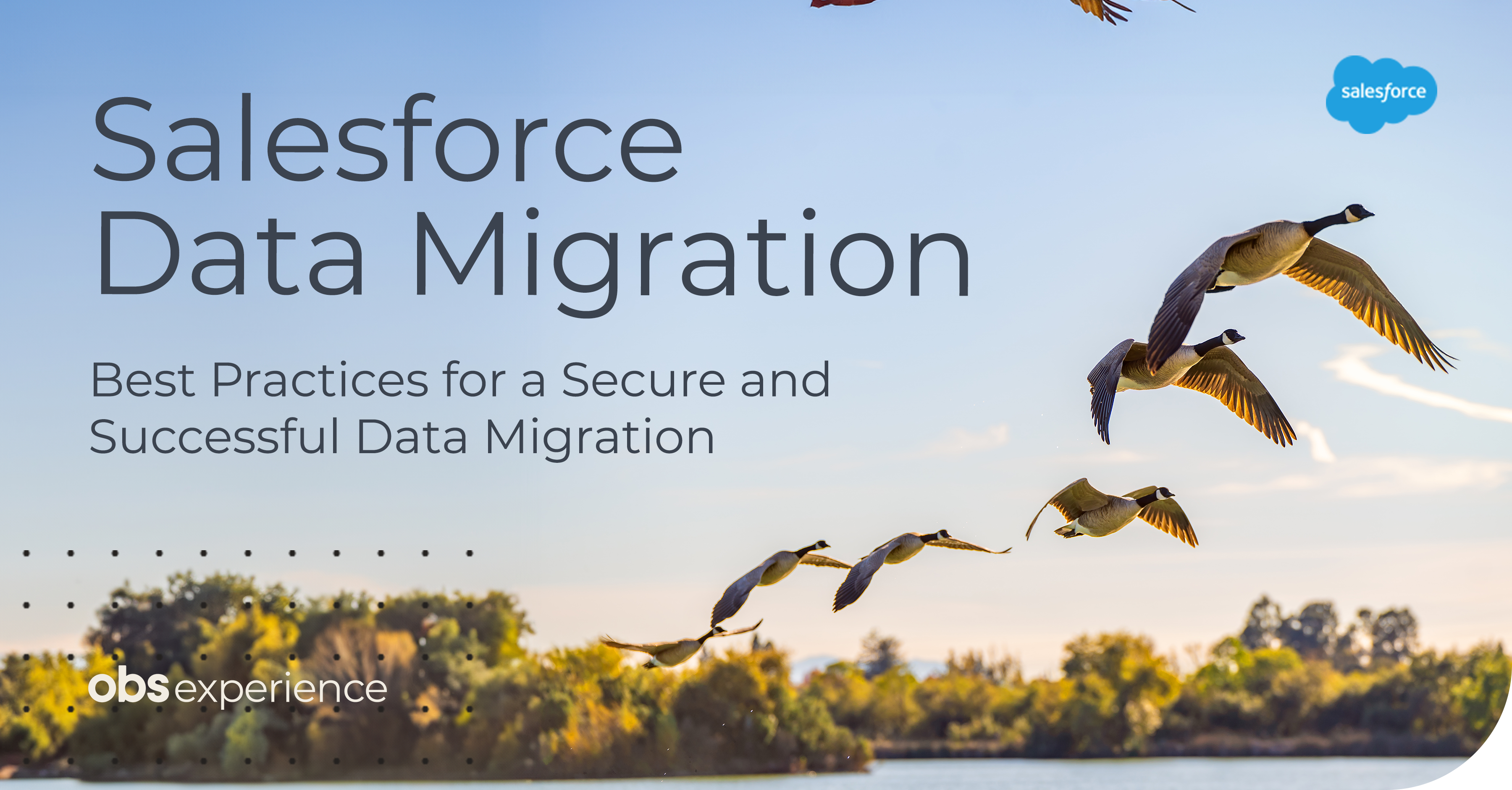 Best Practices for a Secure and Successful Salesforce Data Migration